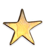 A05 Gold Star Silver Star Lapel Pin | StockPins.com