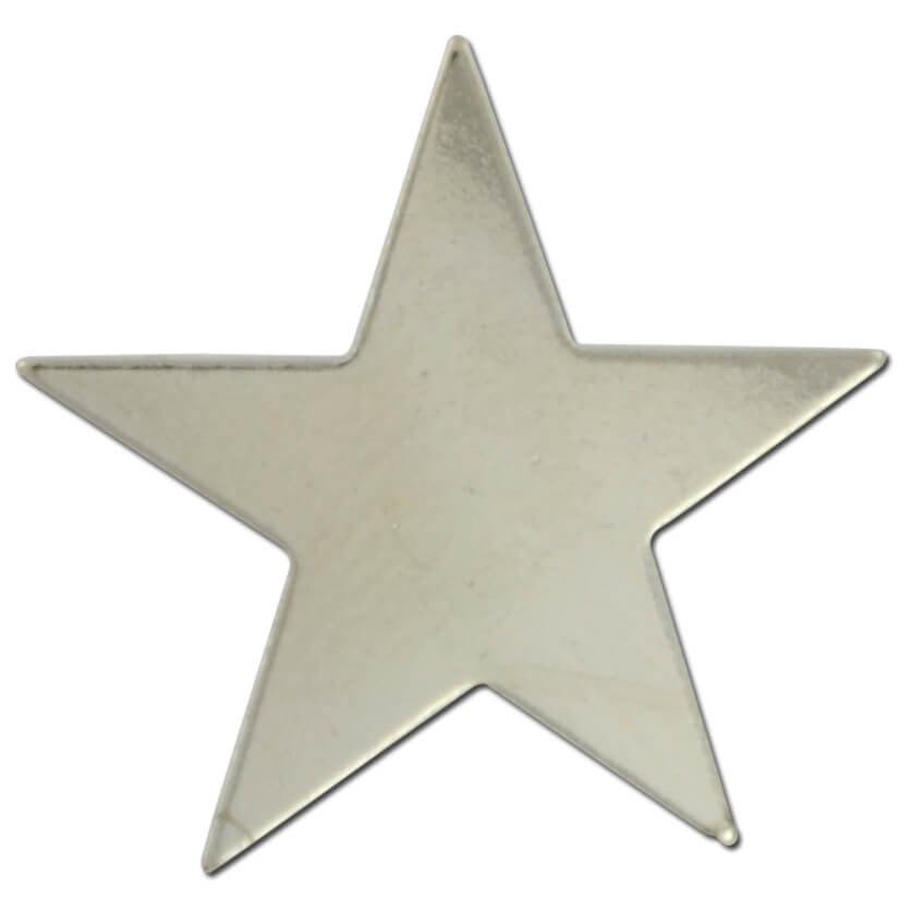 A05 Gold Star Silver Star Lapel Pin | StockPins.com