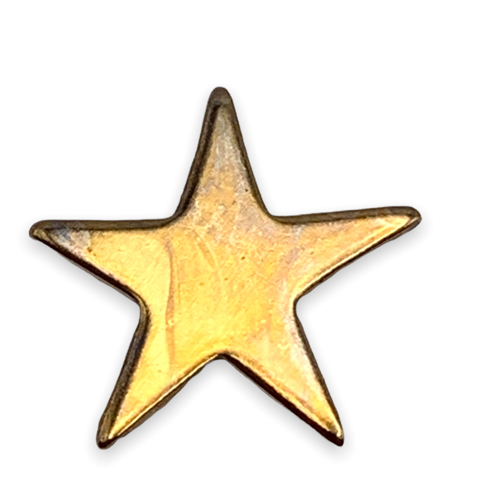 A05 Gold Star Silver Star Lapel Pin | StockPins.com