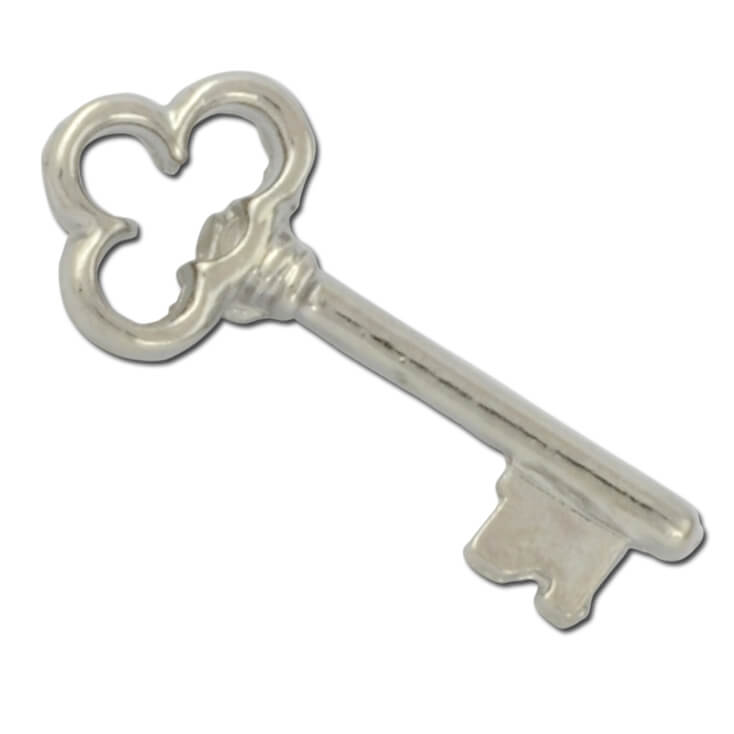 D02 Old Fashioned Skeleton Key Lapel Pin | Stockpins.com