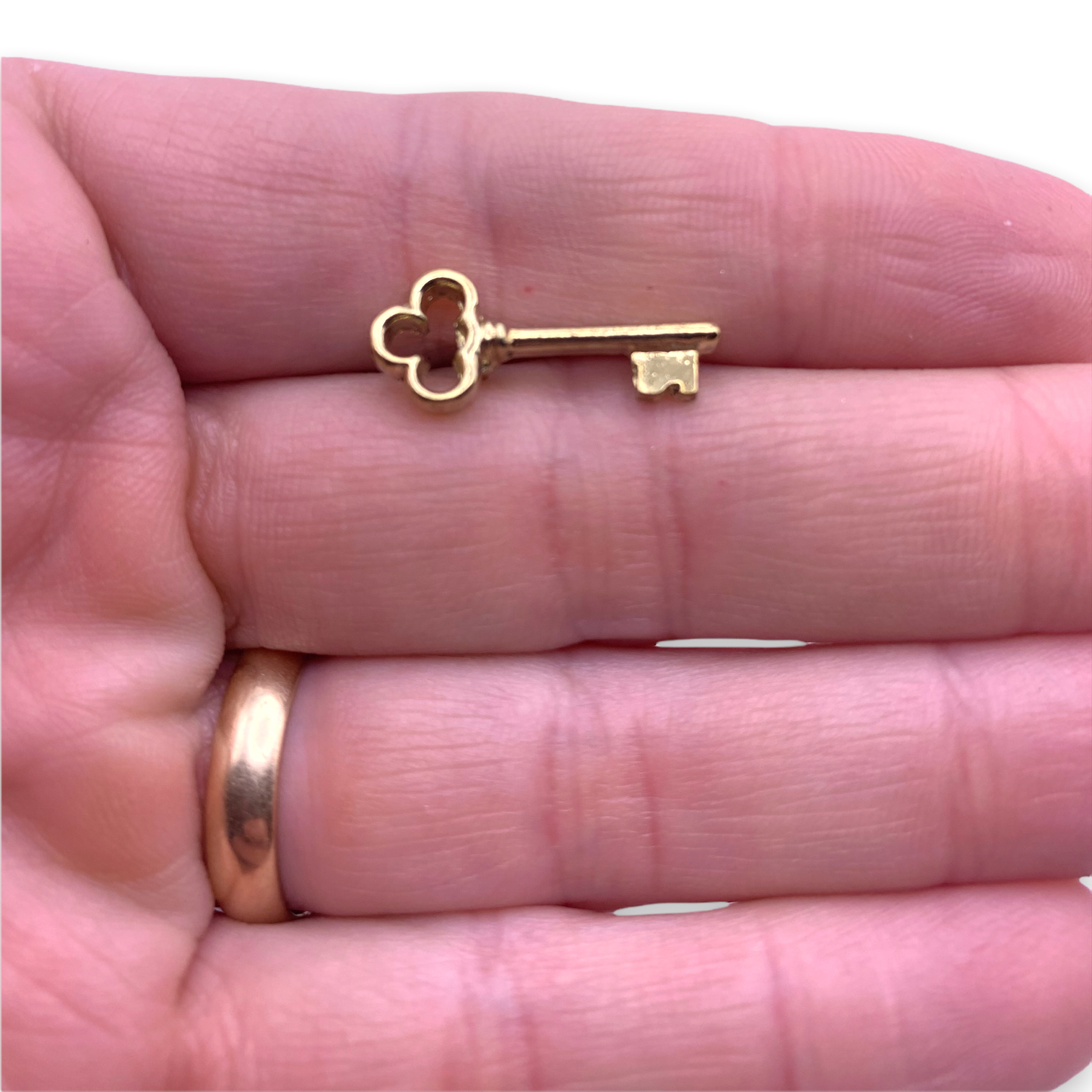 D02 Old Fashioned Skeleton Key Lapel Pin | Stockpins.com