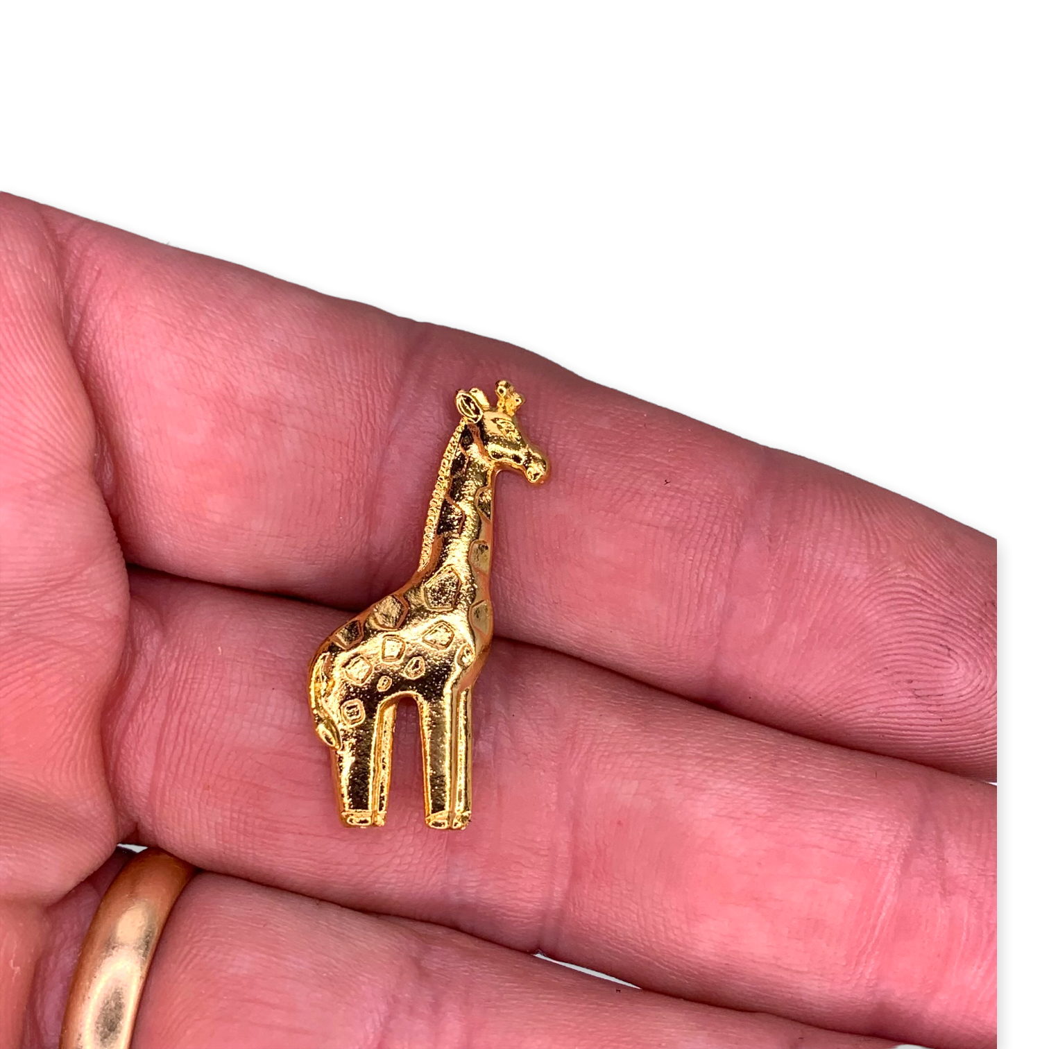 Giraffe Animal Zoo Lapel Pin | StockPins.com