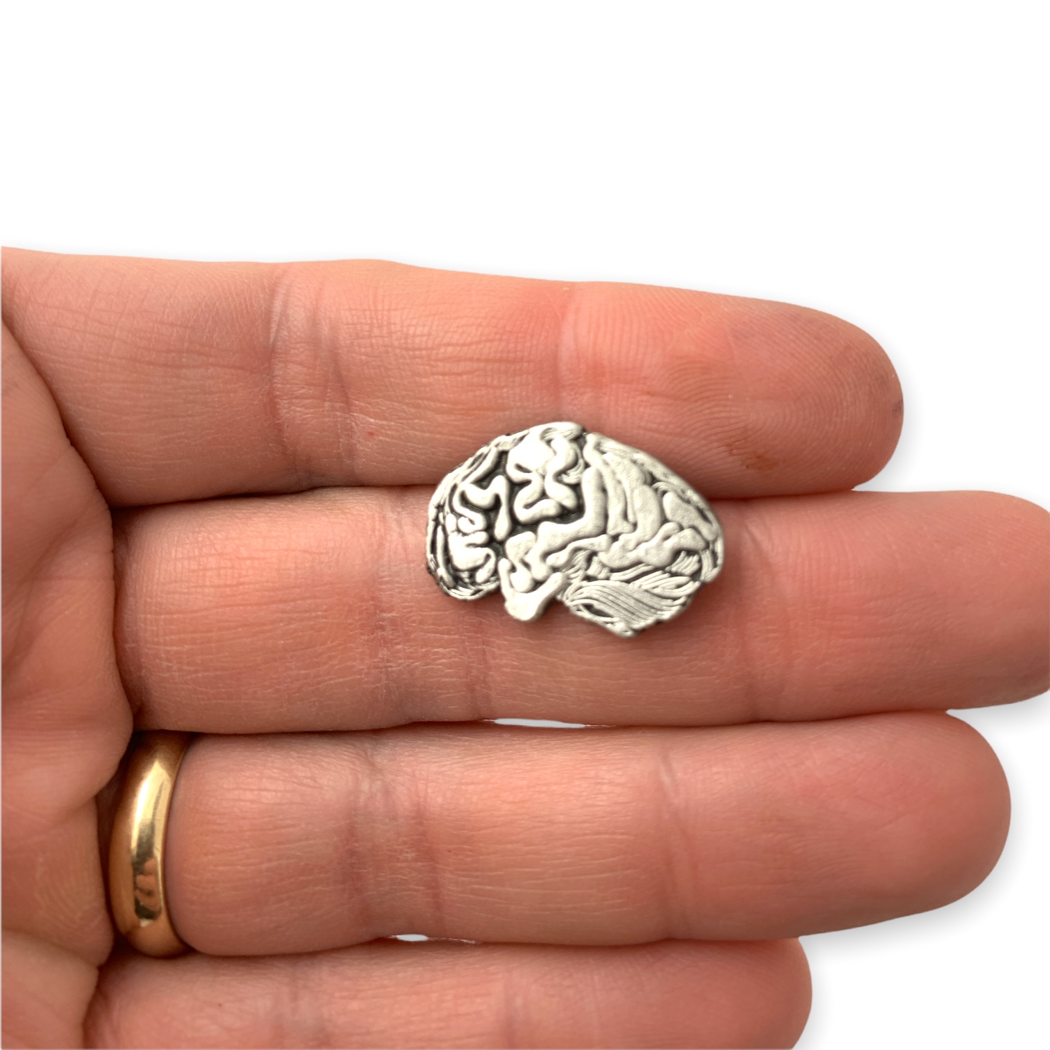 A37 Human Brain Lapel Pin - Anatomically correct | StockPins.com