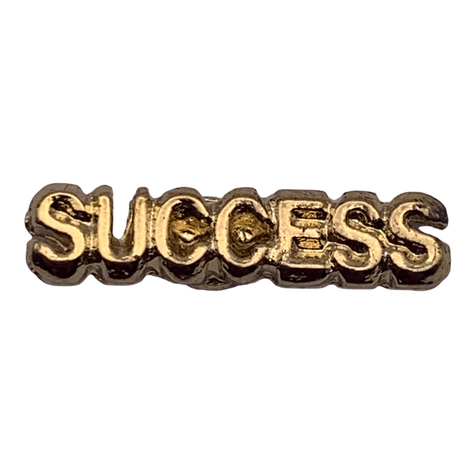 Success Lapel Pin | Motivation Reward | StockPins.com