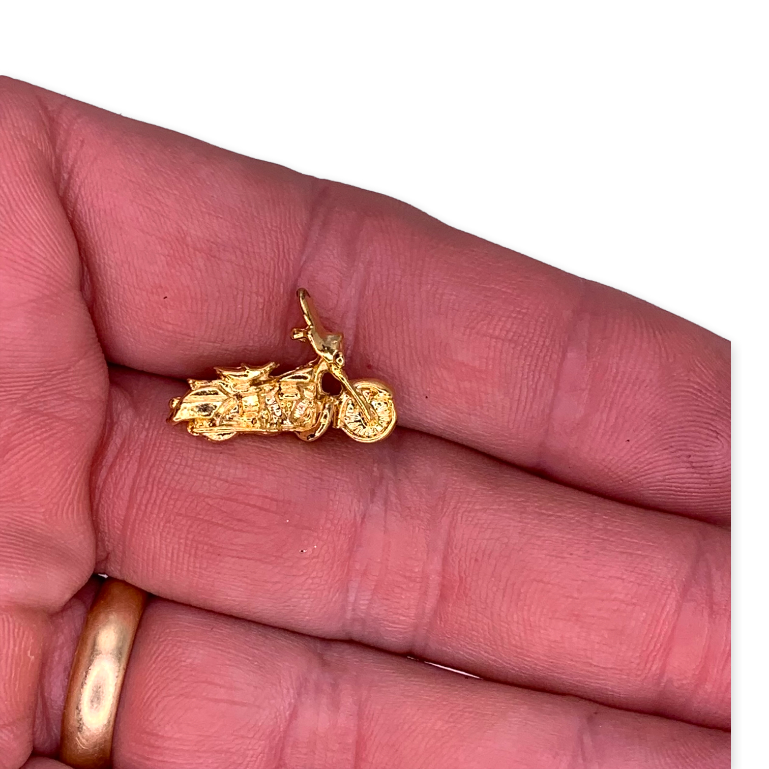 Motorcycle Lapel Pin | Biker Pins | StockPins.com
