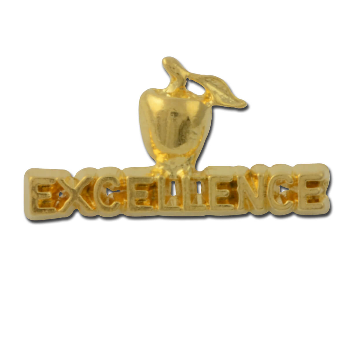 Educational Excellence Award Pin | StockPins.com