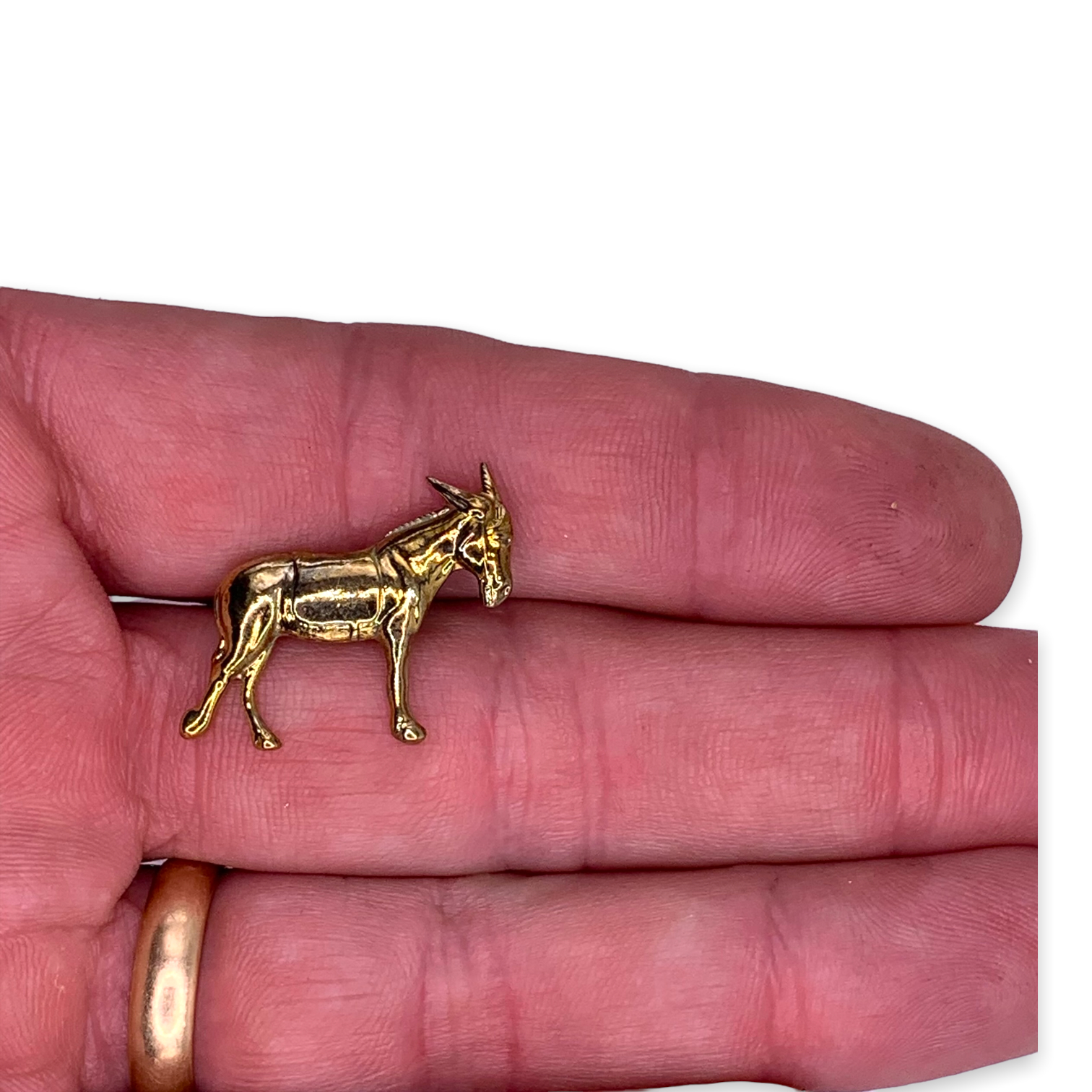 Donkey Lapel Pin Symbol of Democratic Party | Stockpins.com