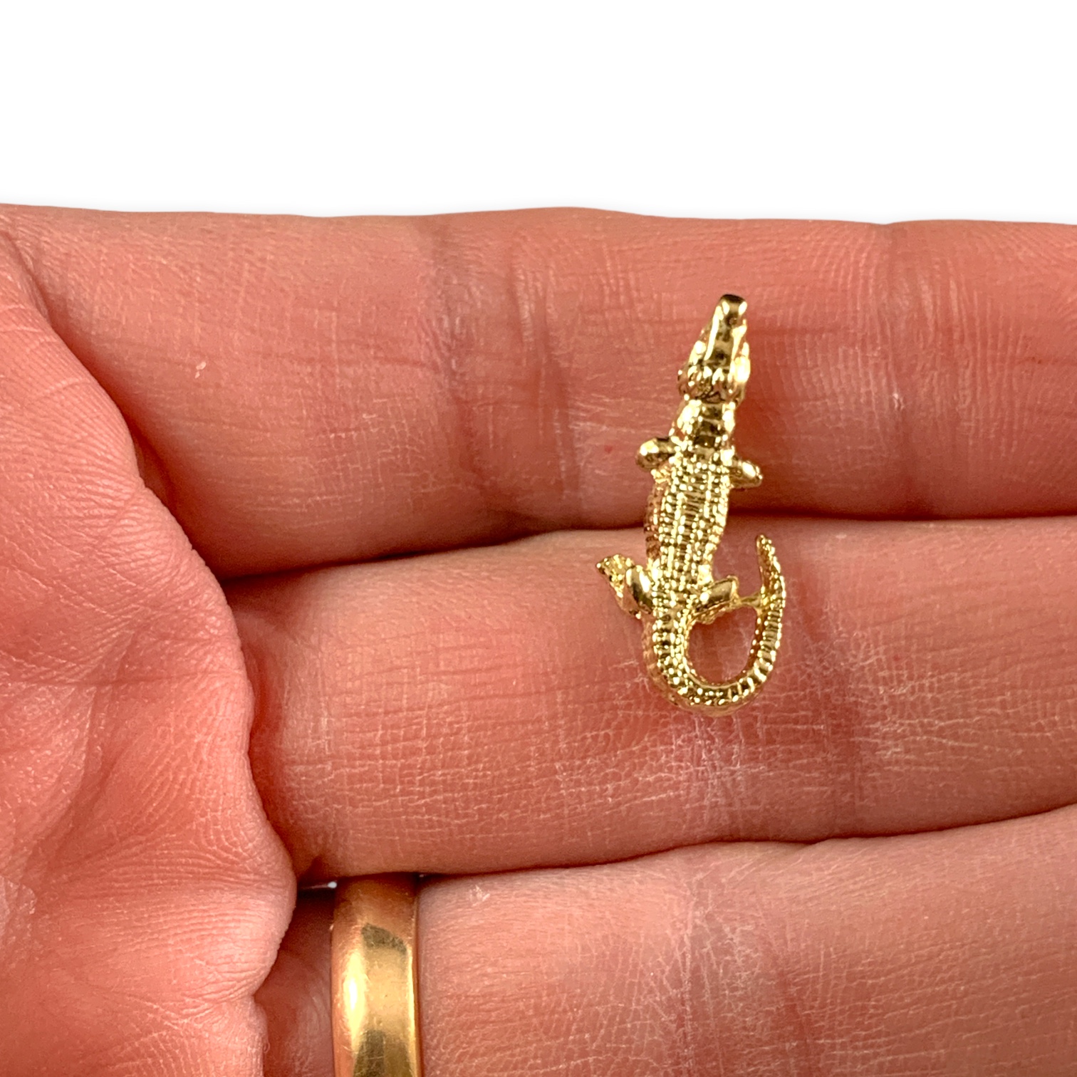 Alligator Lapel Pin | Gator Accessories | StockPins.com