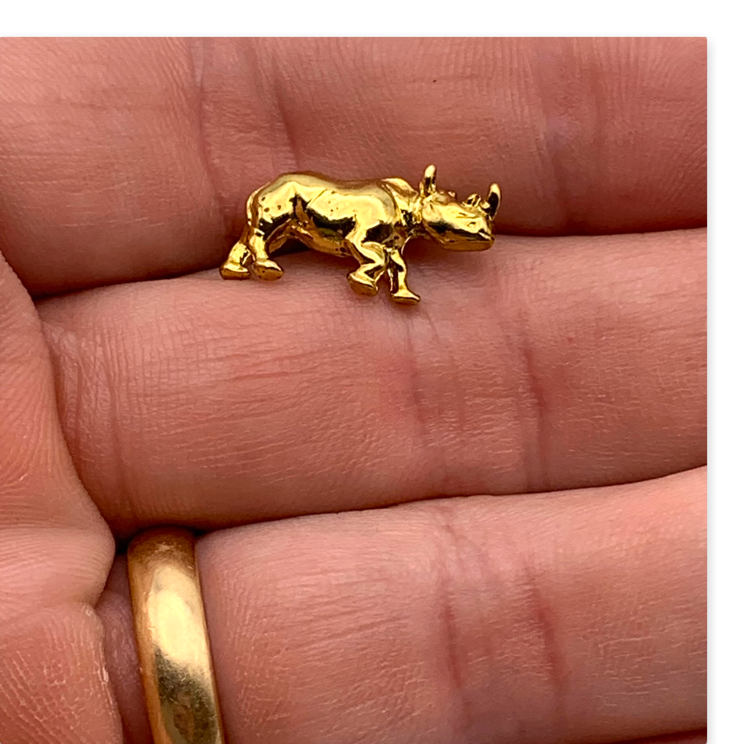 H15 Rhino Rhinoceros lapel pin | StockPins.com