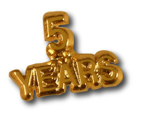 5 Years Lapel Pin | Service Recognition | StockPins.com