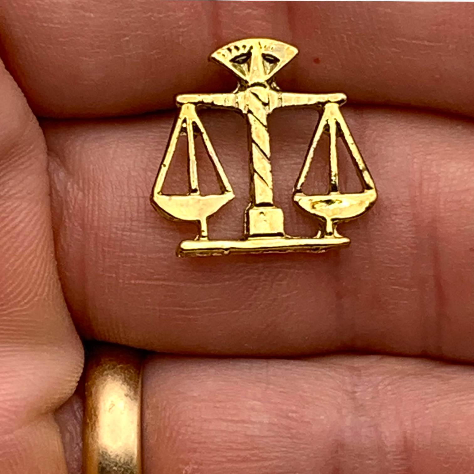 Scales of Justice Lapel Pin | Lawyer Lapel Pin | StockPins.com