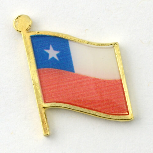 State Flag Lapel Pins Wholesale | StockPins.com