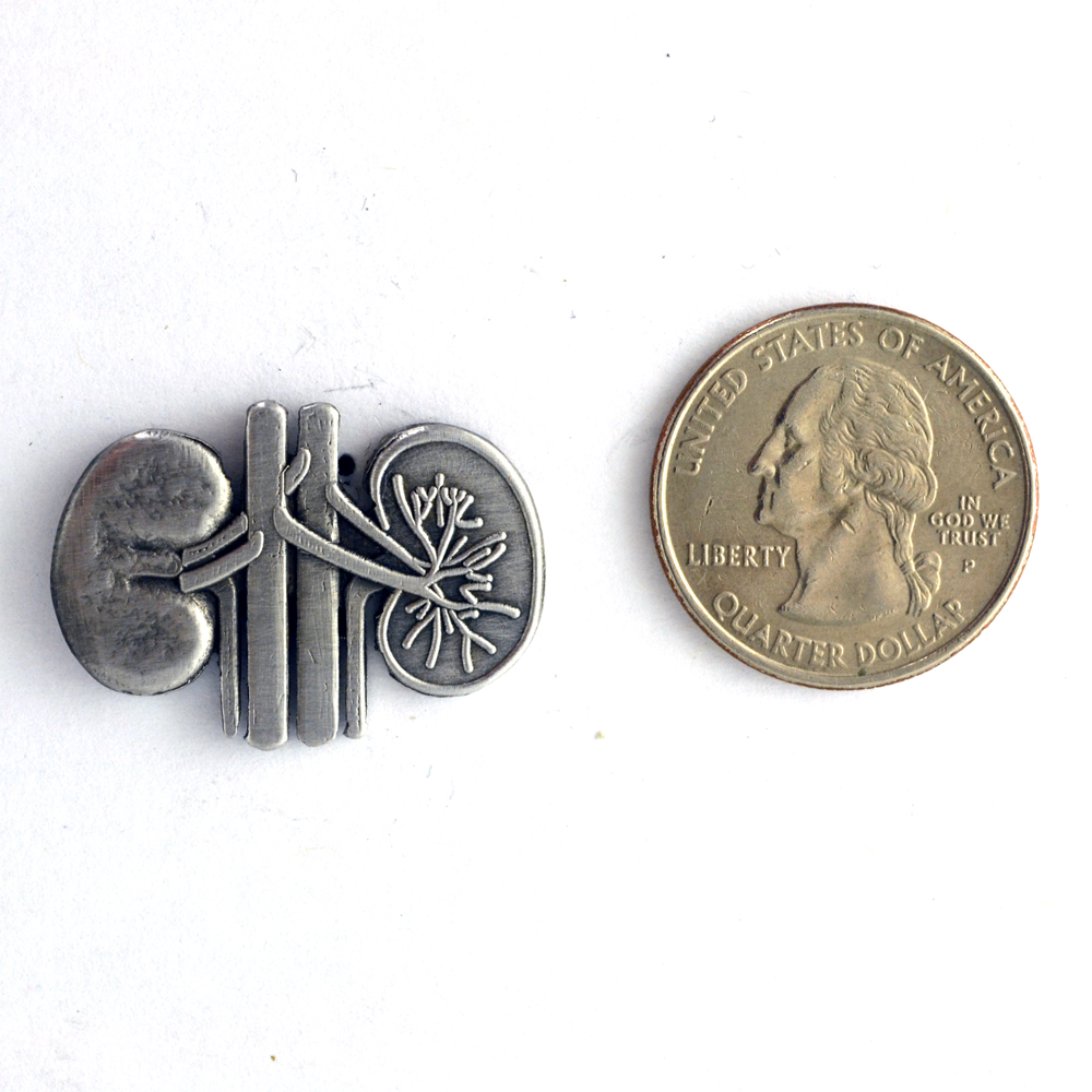 Anatomically Correct Human Kidneys Lapel Pin | StockPins.com