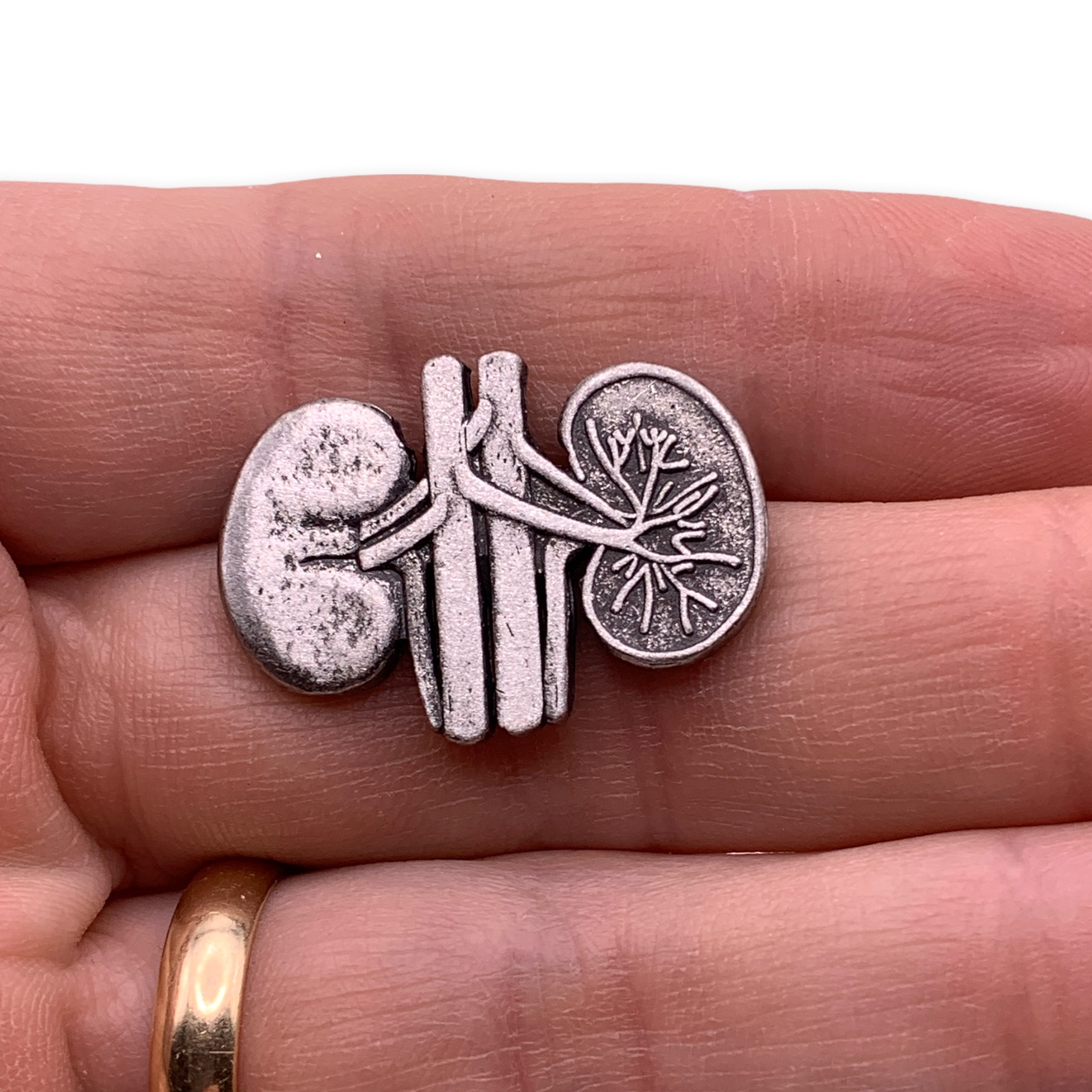 Anatomically Correct Human Kidneys Lapel Pin | StockPins.com