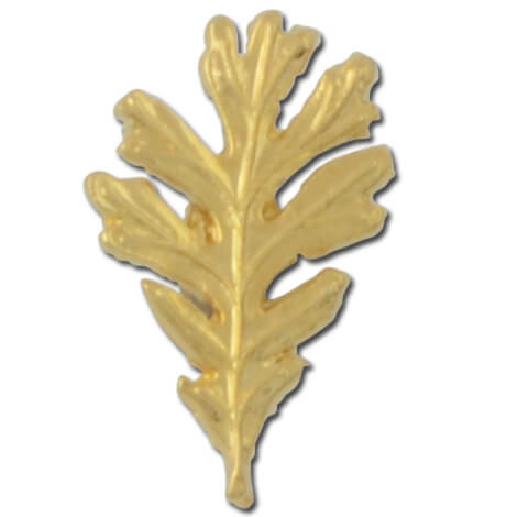 Oak Leaf Lapel Pin | StockPins.com