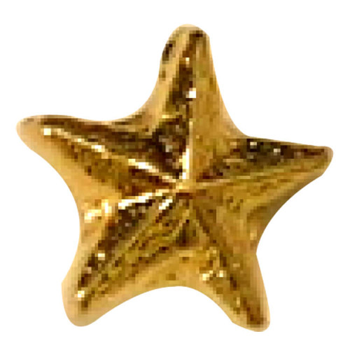 Small Beveled Gold Star Lapel Pin | StockPins.com