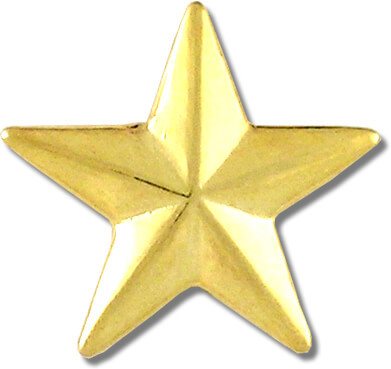 Beveled Star Lapel Pin | Star Recognition Pins | StockPins.com