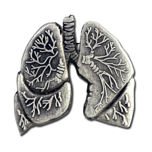 Anatomical Human Lungs Lapel Pin | StockPins.com