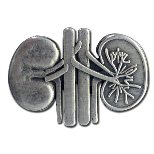 Anatomically Correct Human Kidneys Lapel Pin | StockPins.com