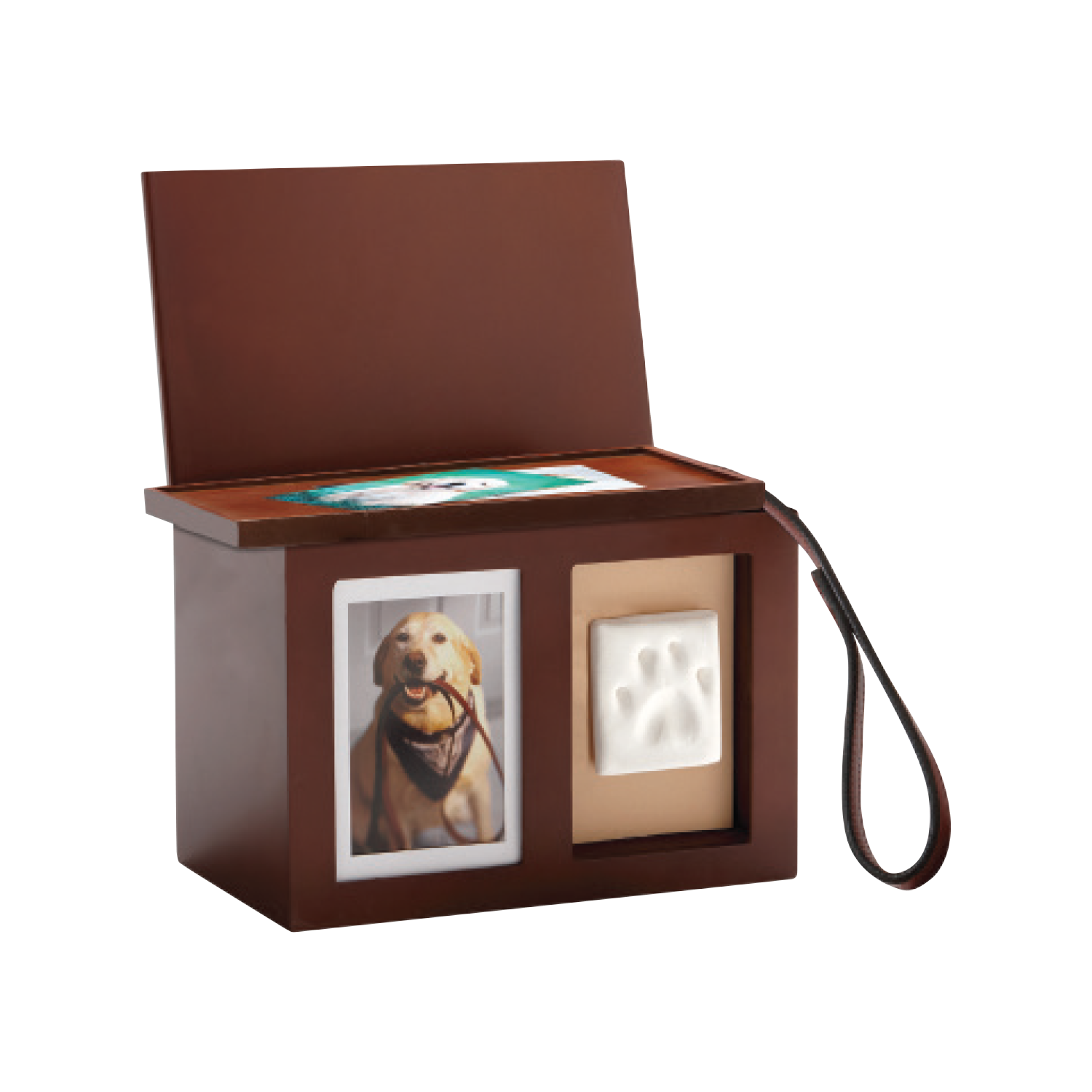 Paws and Remember, LLC