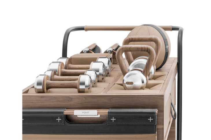 SOPHIA Fitness Cart | Luxury Fitness Equipment by Jack Game Room & PENT ...