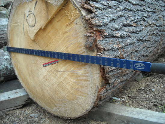 Logrite 36" Scribner Decimal C Log Scale with Handle - Northern Woodsmen