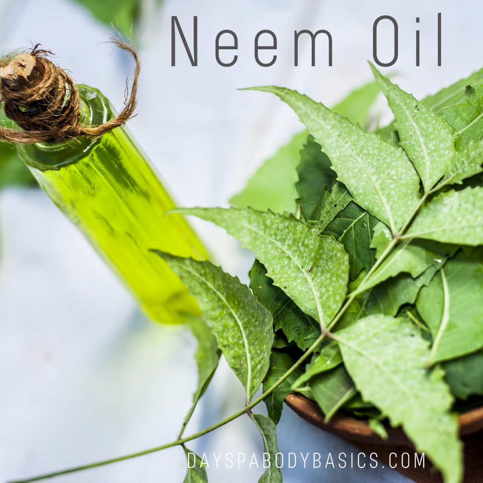 Neem Oil- Ingredient Highlight - DAYSPA Body Basics Store