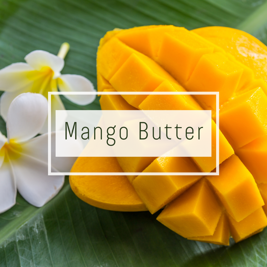 Mango Butter - Ingredient Highlight - DAYSPA Body Basics Store
