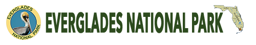 The Best of the Everglades - Everglades National Park