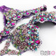 WBFF Bikini Diva Suit | "An Explosion of Color and Beauty"