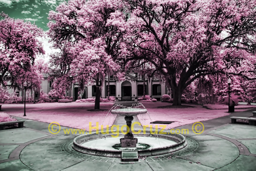 "Thomas Fountain" - Infrared Photography by Hugo Cruz