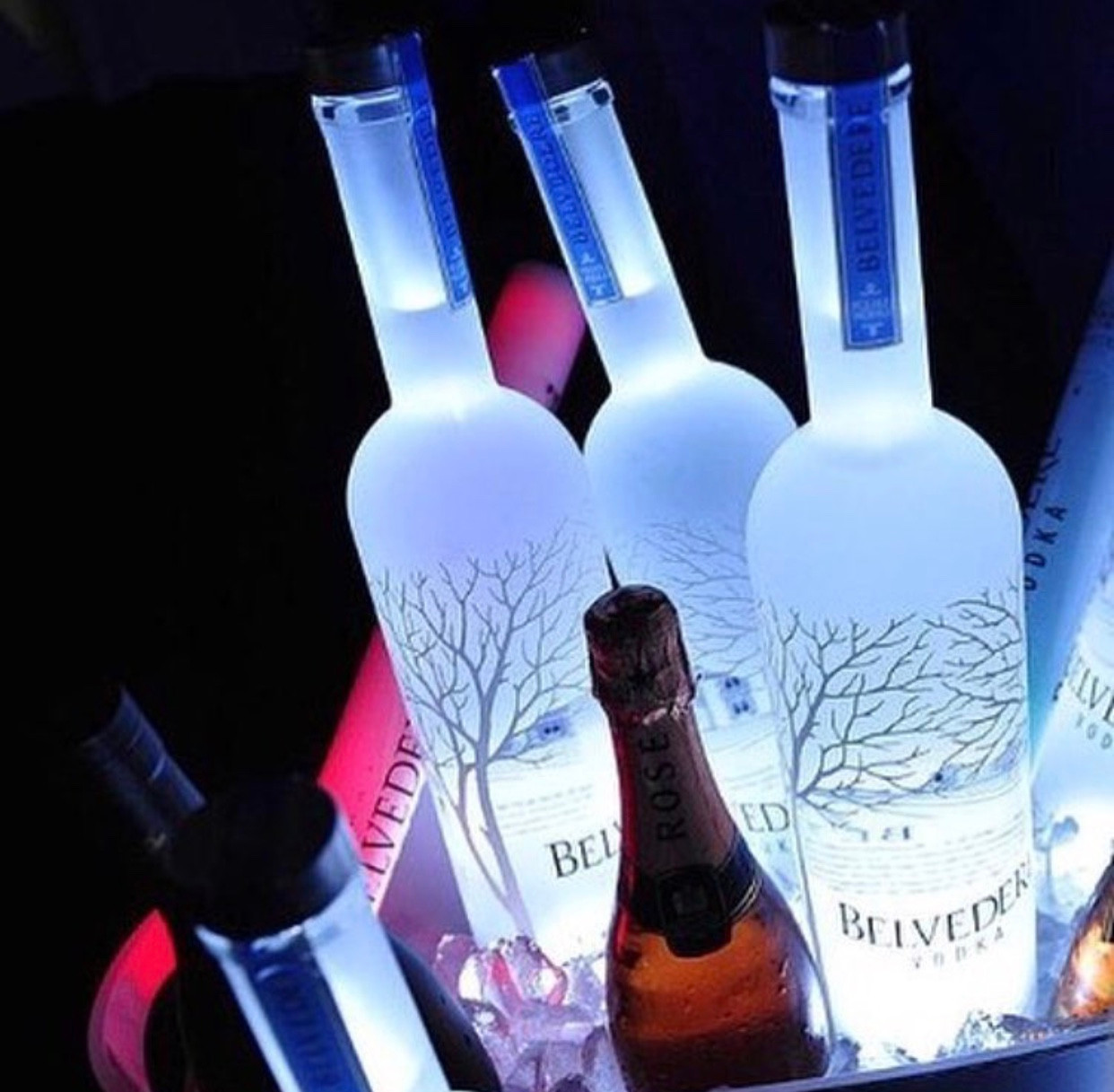 MINI GLOW BOTTLE BRIGHT DISPLAY GLORIFIER, LED BOTTLE GLORIFIER, light ...