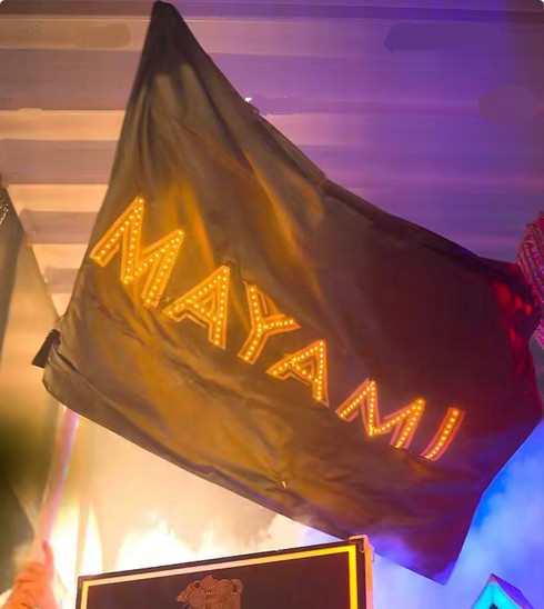 CUSTOM LIGHT UP FLAG - NIGHTLIFE LIGHT UP FLAG - L.E.D FLAG