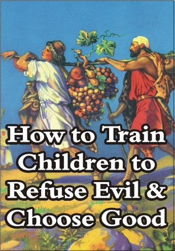 How To Train Children To Refuse Evil CD - Gullion's Christian Supply