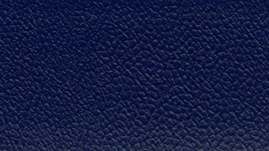 Electric Blue Morbern Allsport as107
