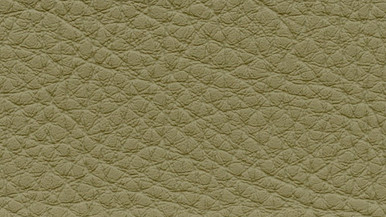 Light Neutral Prodigy Vinyl pro682