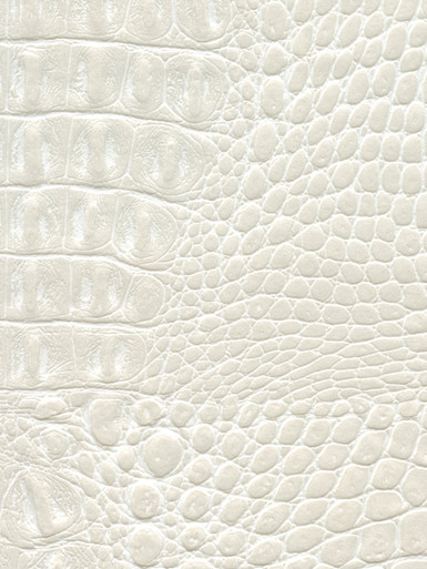 Cream Alligator Vinyl (54" Wide) - Everglades Exotic Automotive ...
