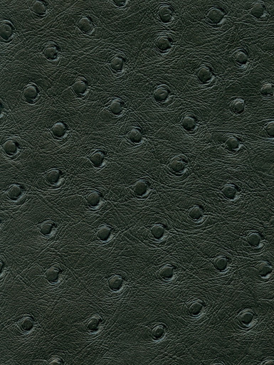 Black Ostrich Vinyl (54" Wide) - Everglades Exotic Automotive ...