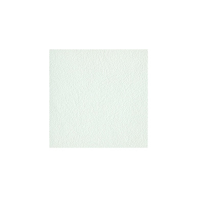 LIT202144 - First Class Leather - Porsche - Moonbeam - Action ...