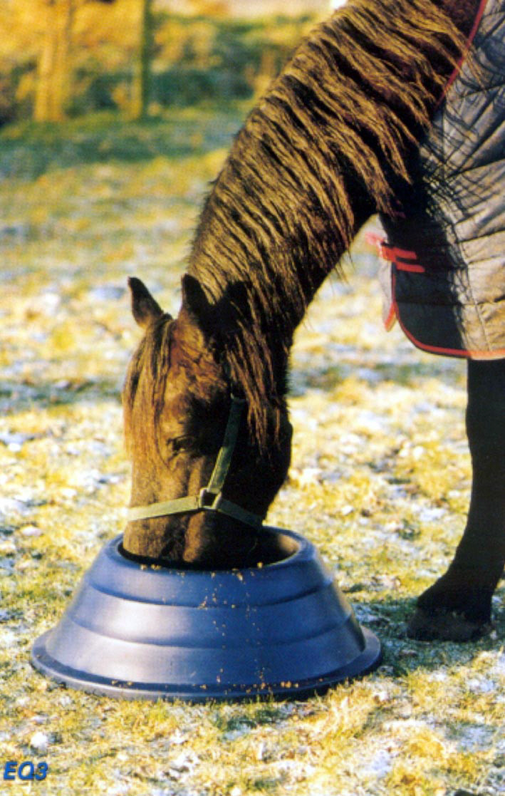 Equestrian Stable drinkers, Field Drinkers & feeders mangers