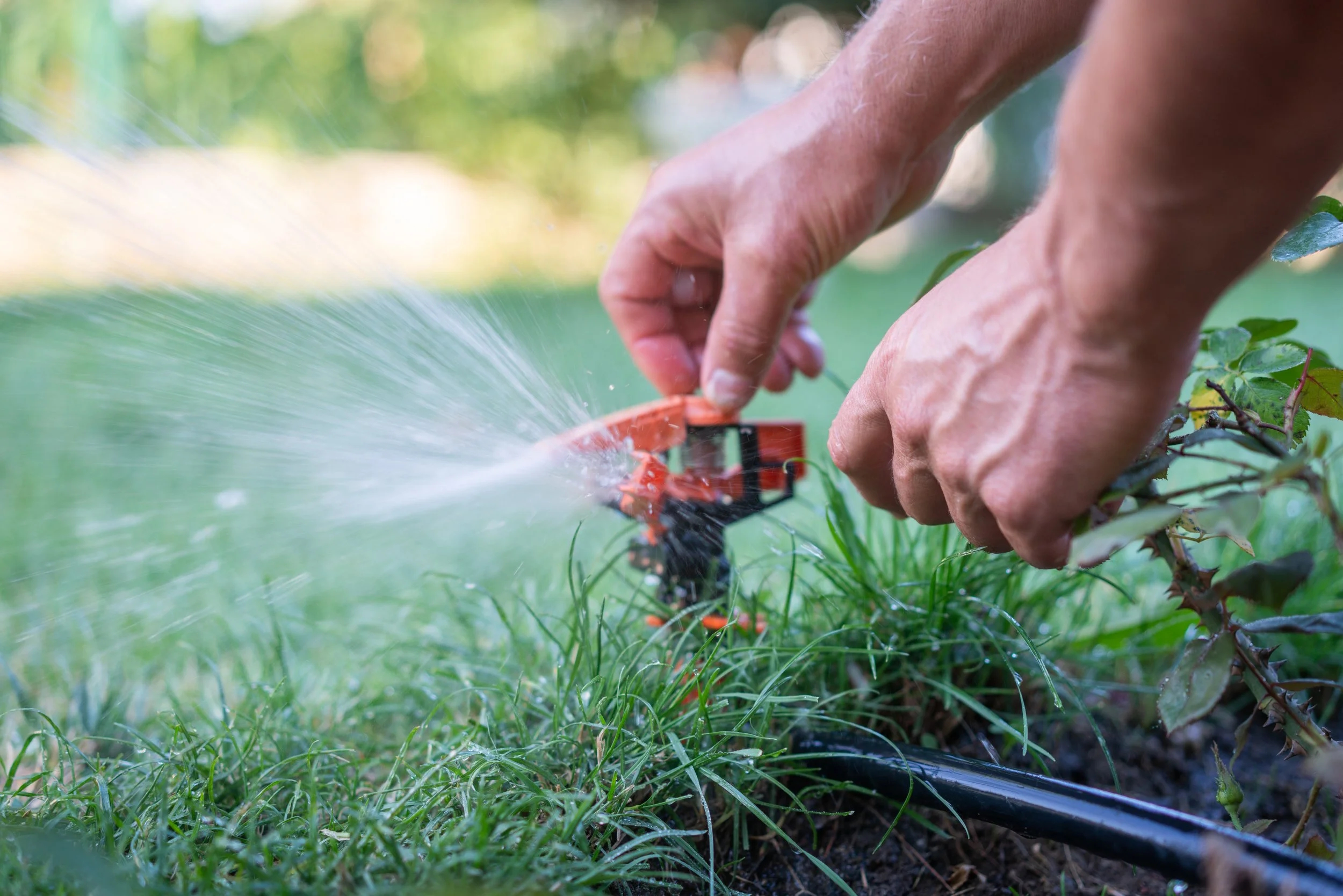 The Benefits of Garden Watering Timers for Business Gardens ...