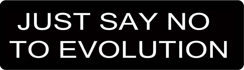 Just Say No To Evolution Motorcycle Helmet Sticker