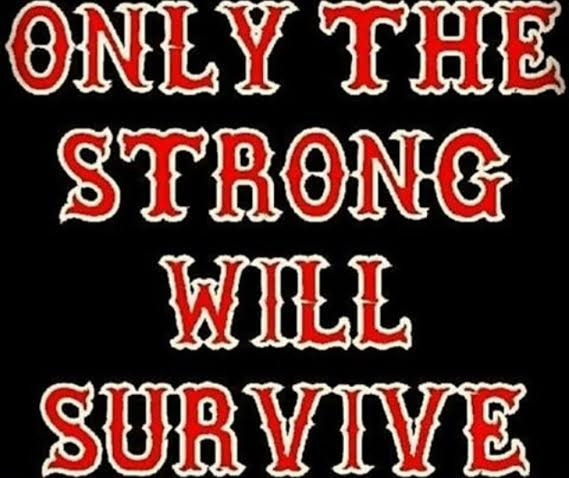 Only The Strong Will Survive Shirt and motorcycle shirts