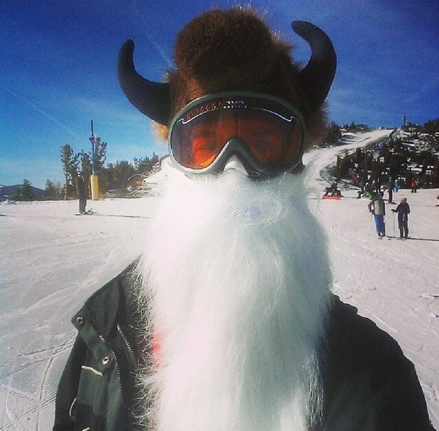 Merlin Beard Face Mask