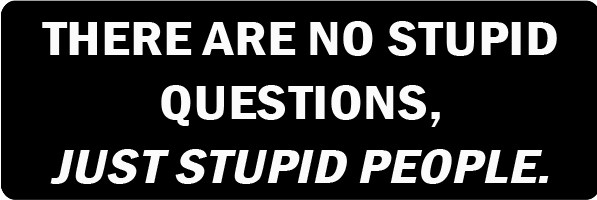 There Are No Stupid Questions, Just Stupid People Motorcycle Helmet Sticker
