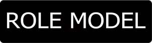 Role Model Motorcycle Helmet Sticker
