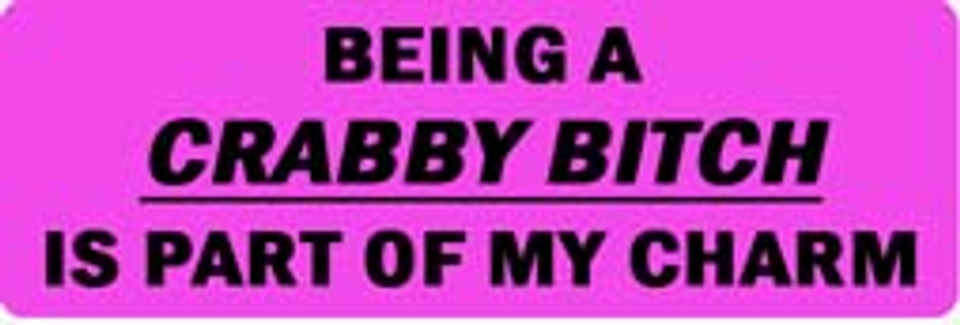 Biker Bitch Motorcycle Helmet Sticker
