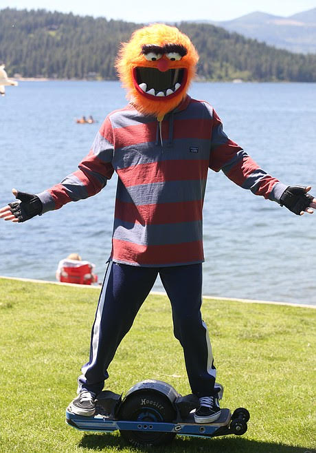 Animal Helmet Cover - Iron Horse Helmets