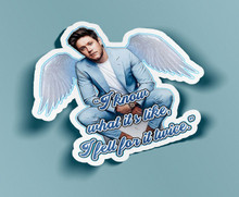 Niall Horan Sticker