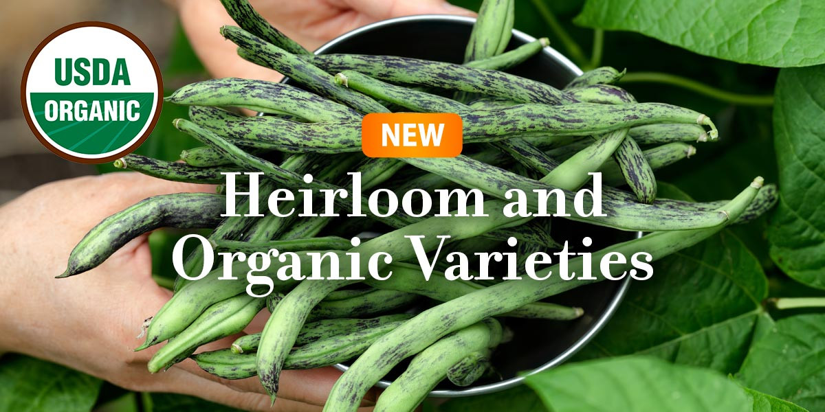 Annie's Heirloom Seeds | Hundreds Of Heirloom, Organic, and NonGMO ...